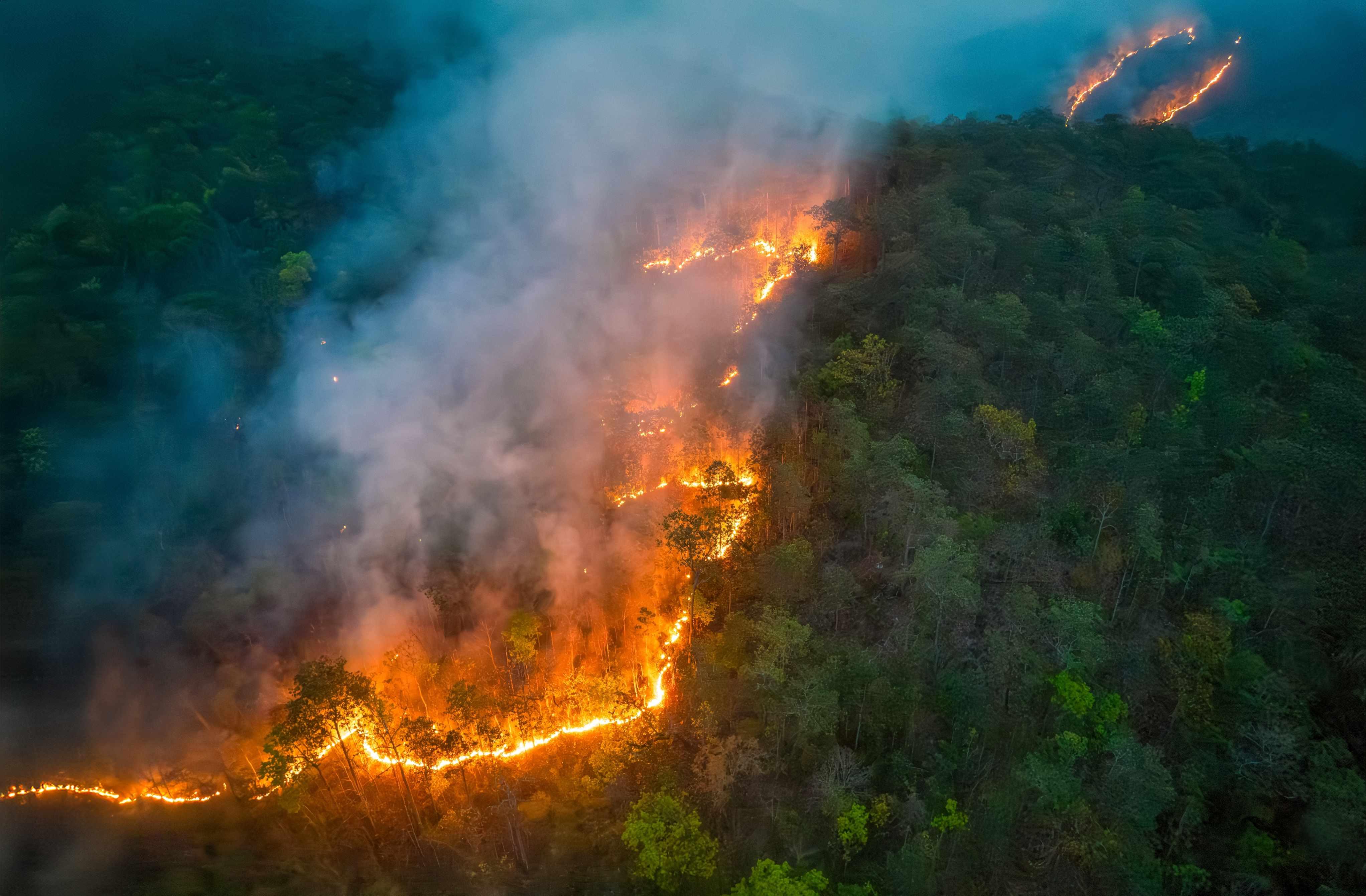 Queimadas no Brasil: Entenda por que ocorrem e como afetam o meio ambiente e a saúde - Meio ...